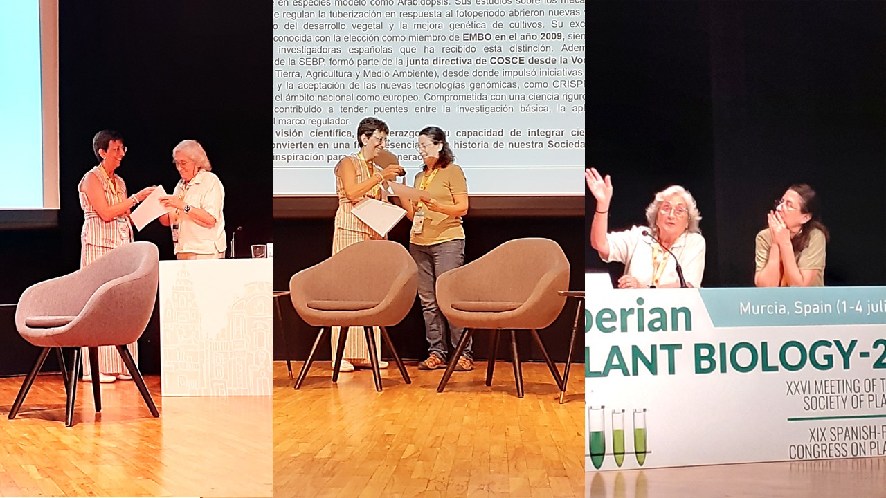 INVESTIGADORAS PIONERAS EN BIOLOGÍA DE PLANTAS 2025 - SEBP - Sociedad ...